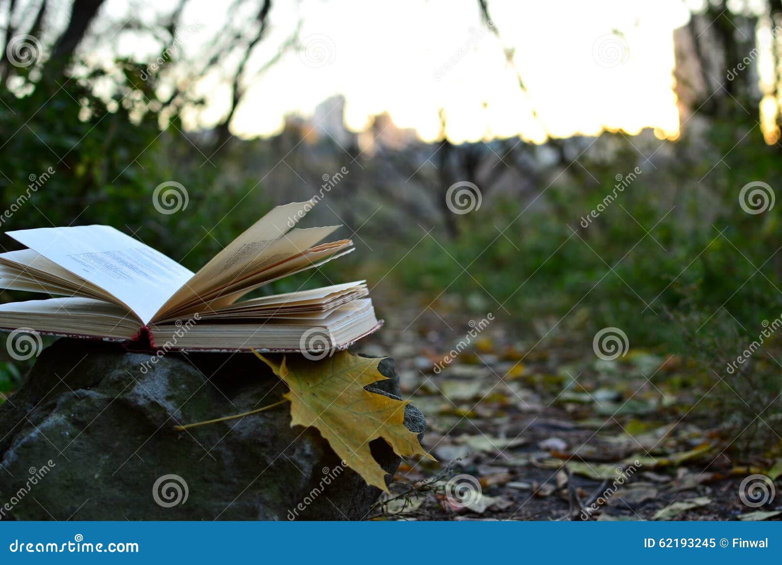 Open book outdoors stock image. Image of literature, diaries - 62193245
