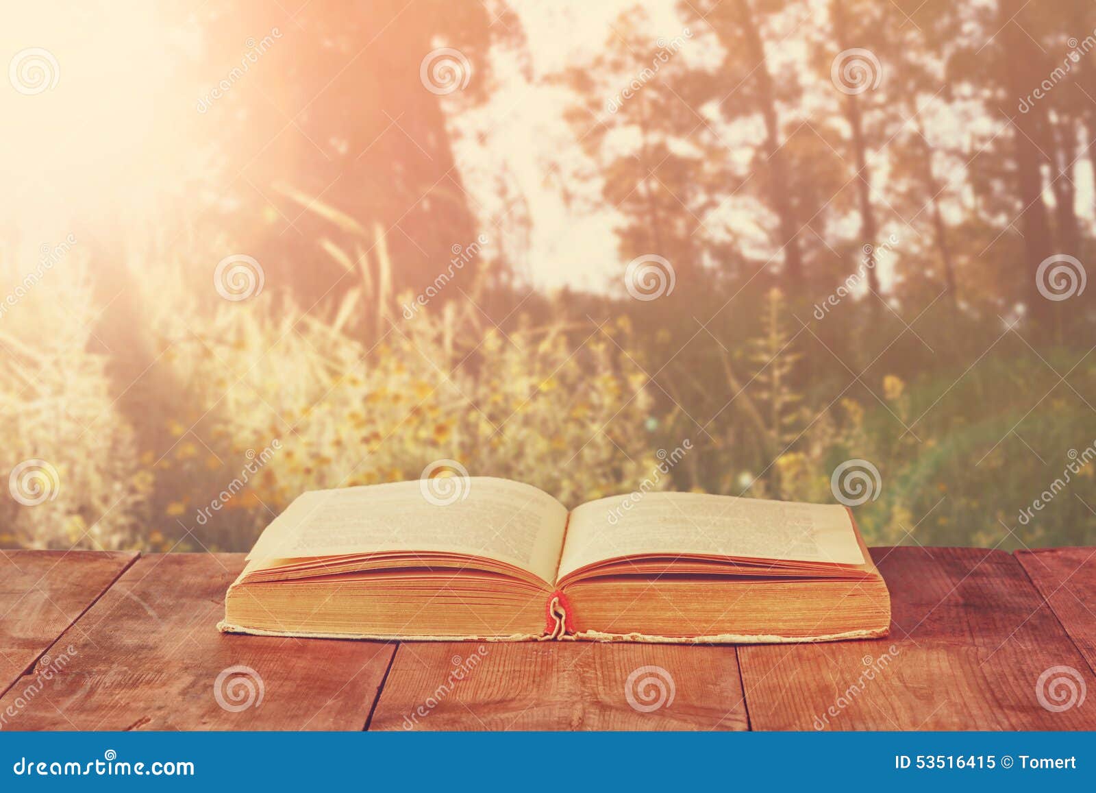 Open Book Over Wooden Rustic Table in Front of Wild Landscape and ...