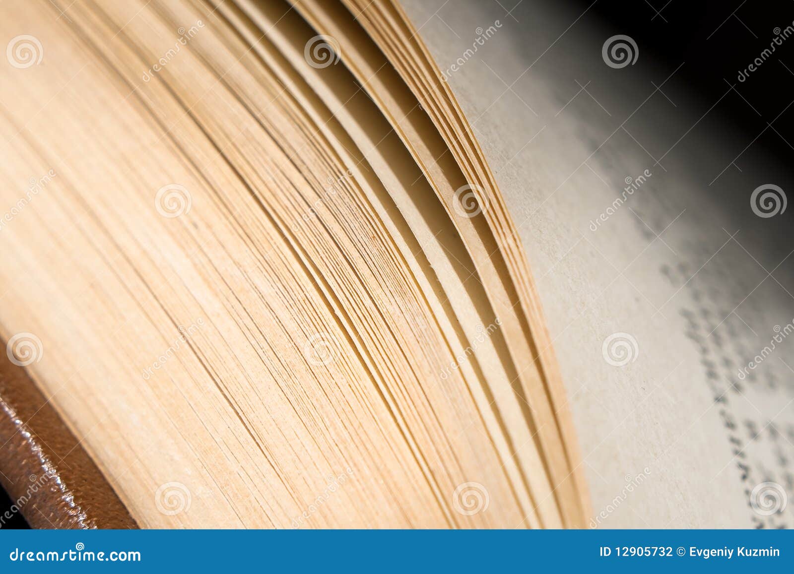 Open book page stock photo. Image of white, book, conceptual - 12905732