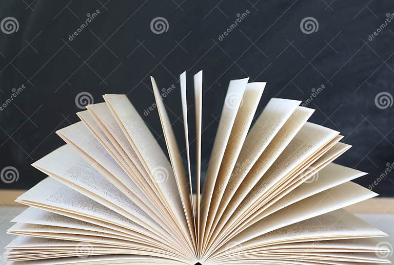 Open Book Pages stock photo. Image of open, reading, learning - 15879454