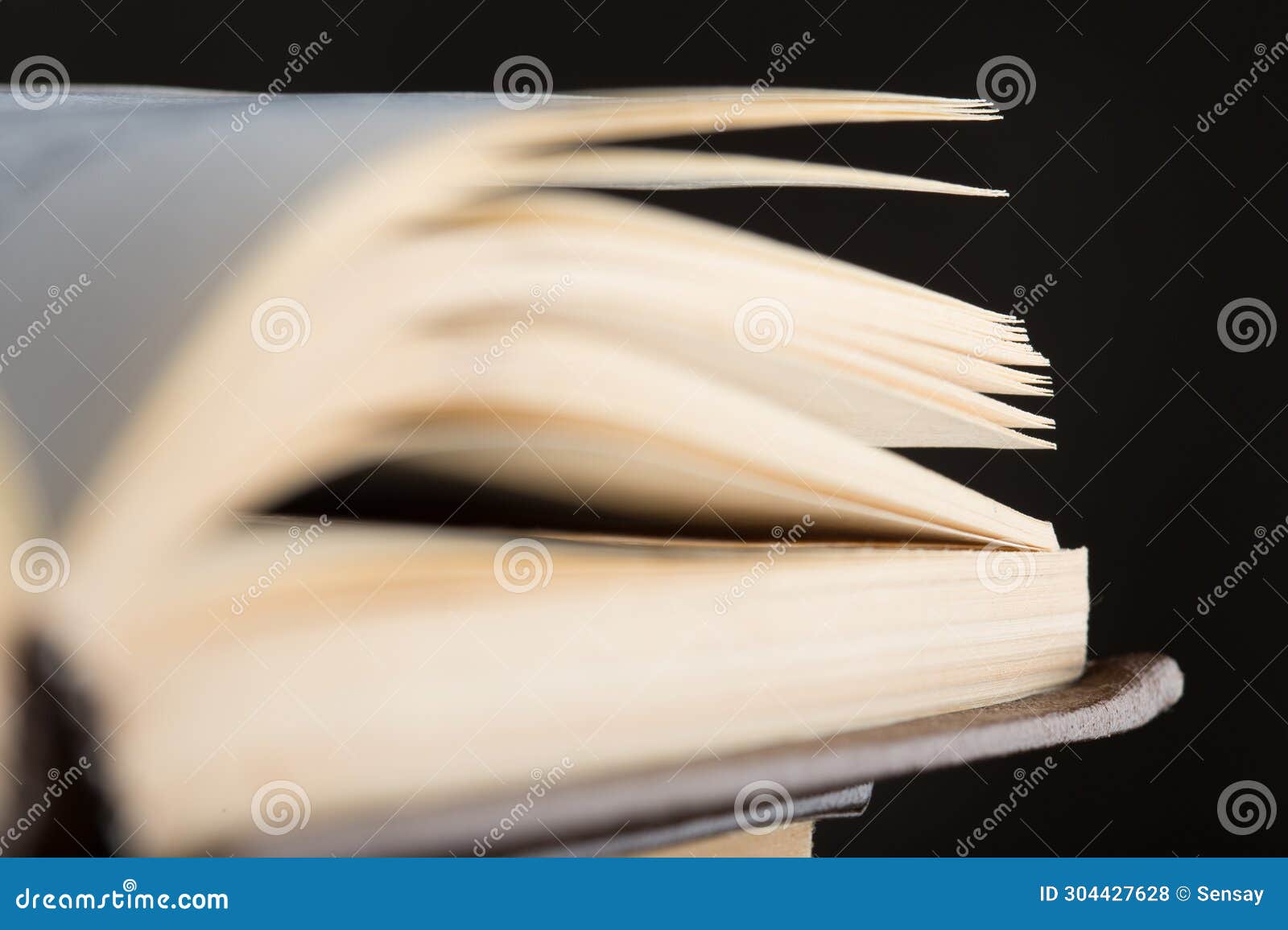 Open Book Pages Close-up - Education and Wisdom Concept Stock Photo ...
