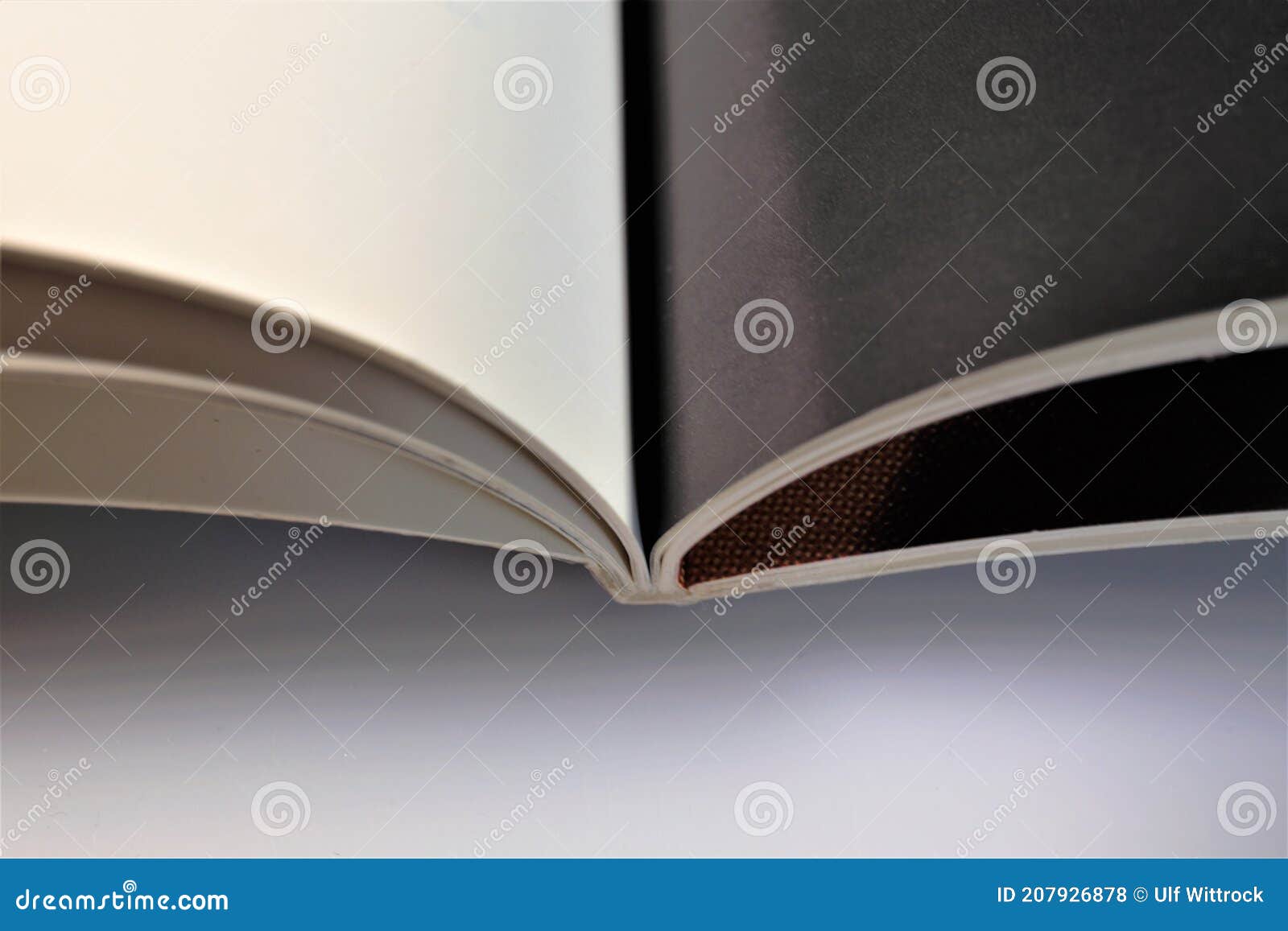 Open book with pages stock photo. Image of page, paper - 207926878