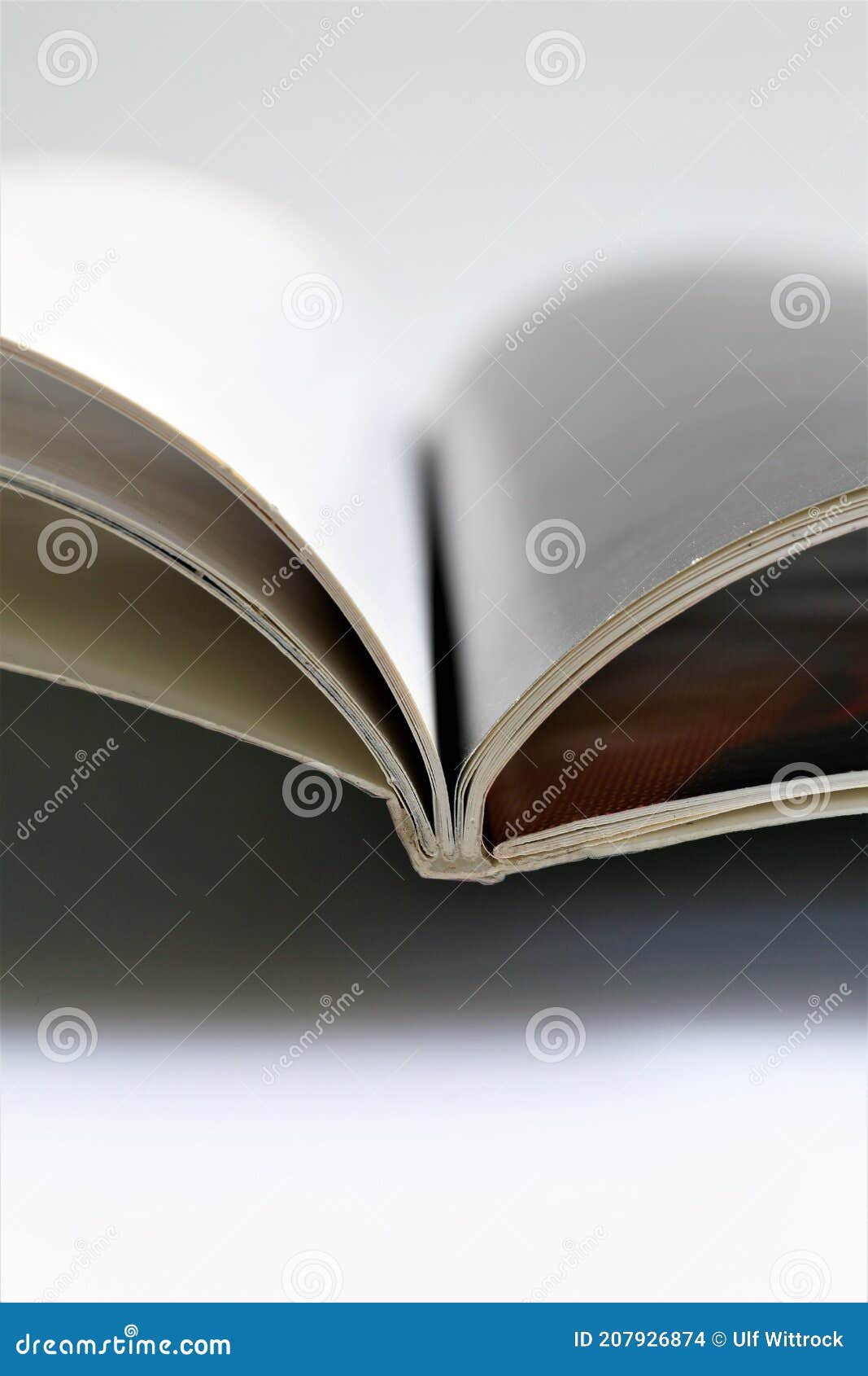 Open book with pages stock photo. Image of read, literature - 207926874