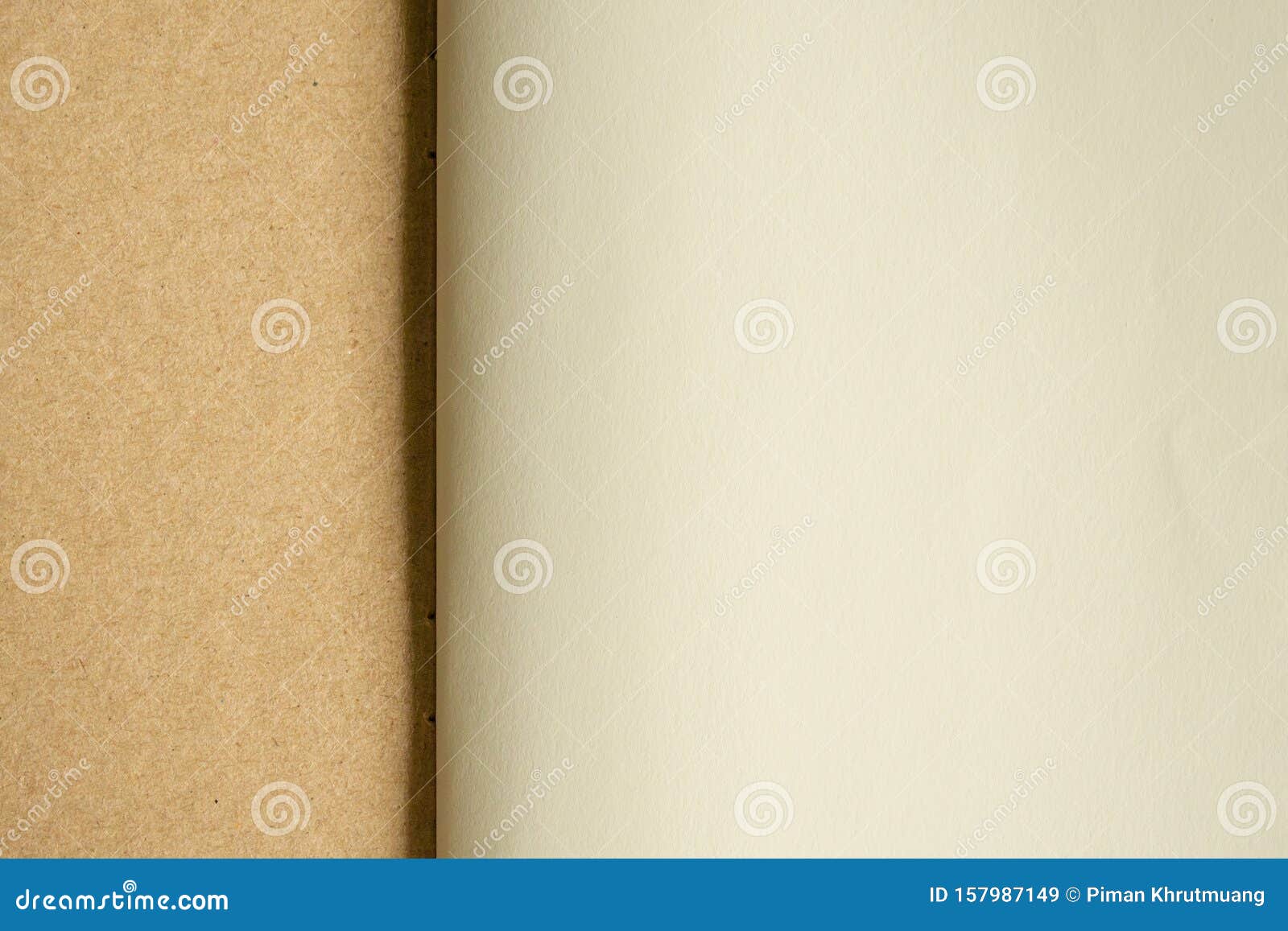 Open Book Pages Texture