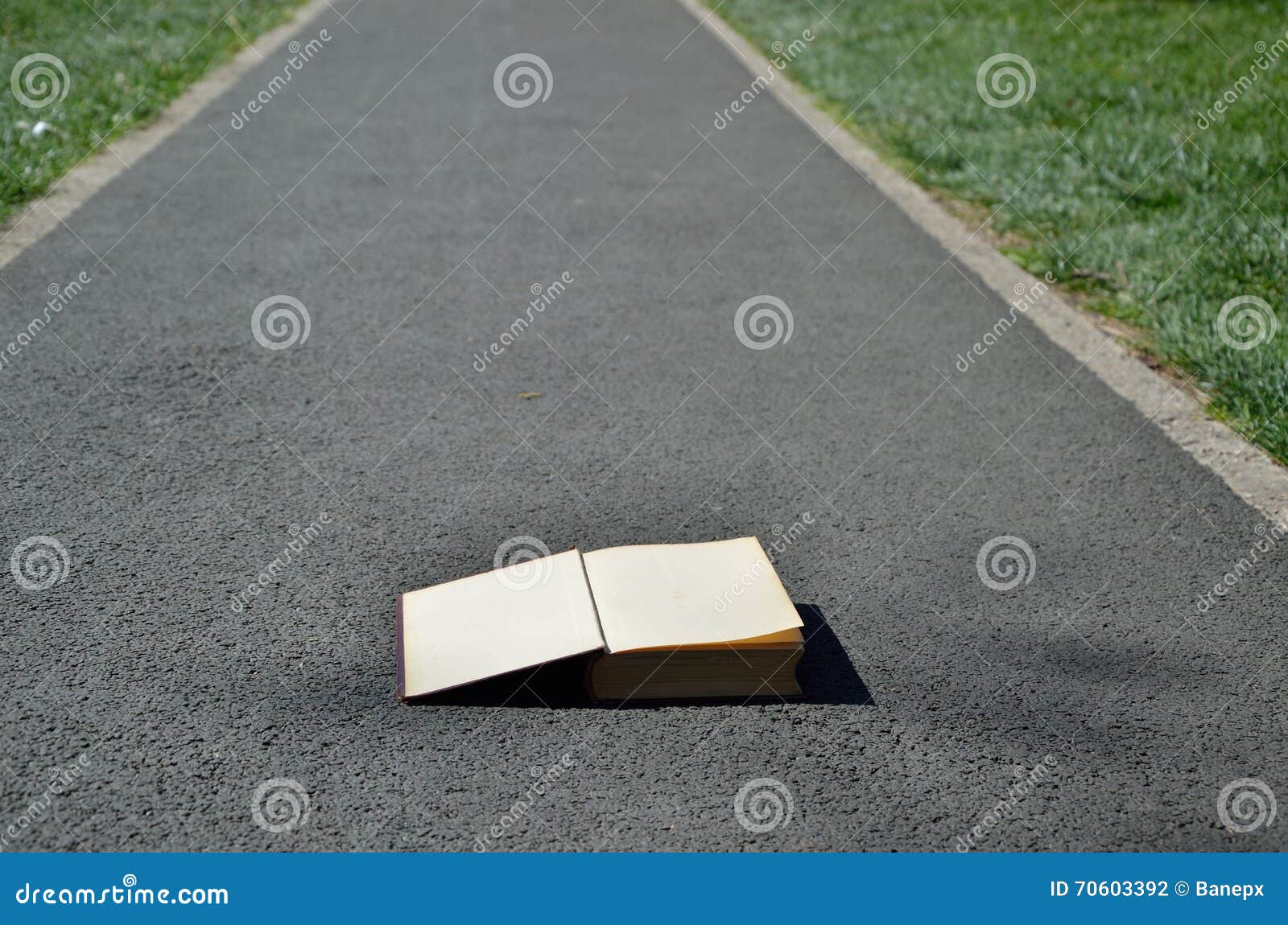 Open Book on Path stock photo. Image of park, book, read - 70603392