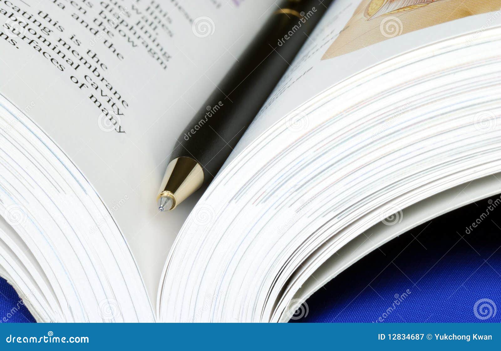 Open book with a pen stock image. Image of library, novel - 12834687