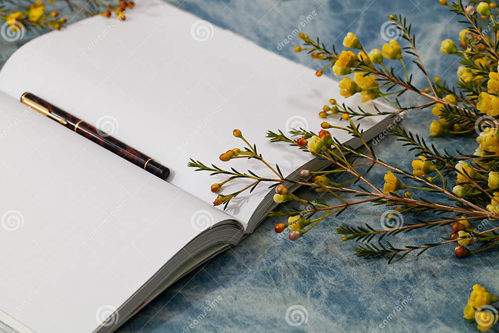 Open Book and Pen on the Blue Cloth Stock Image - Image of modern ...