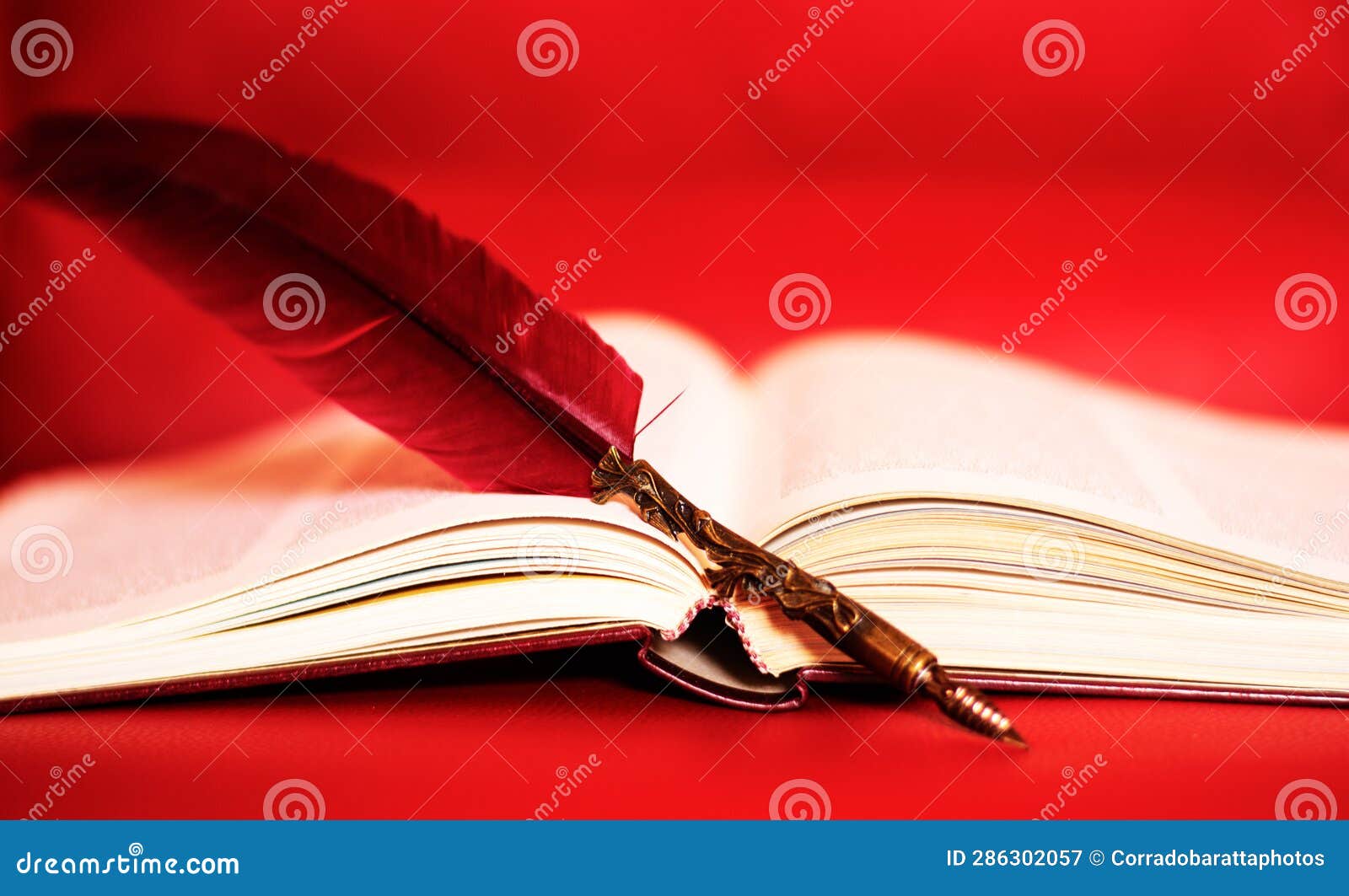 An Open Book and a Pen on a Red Background Stock Image - Image of paper ...