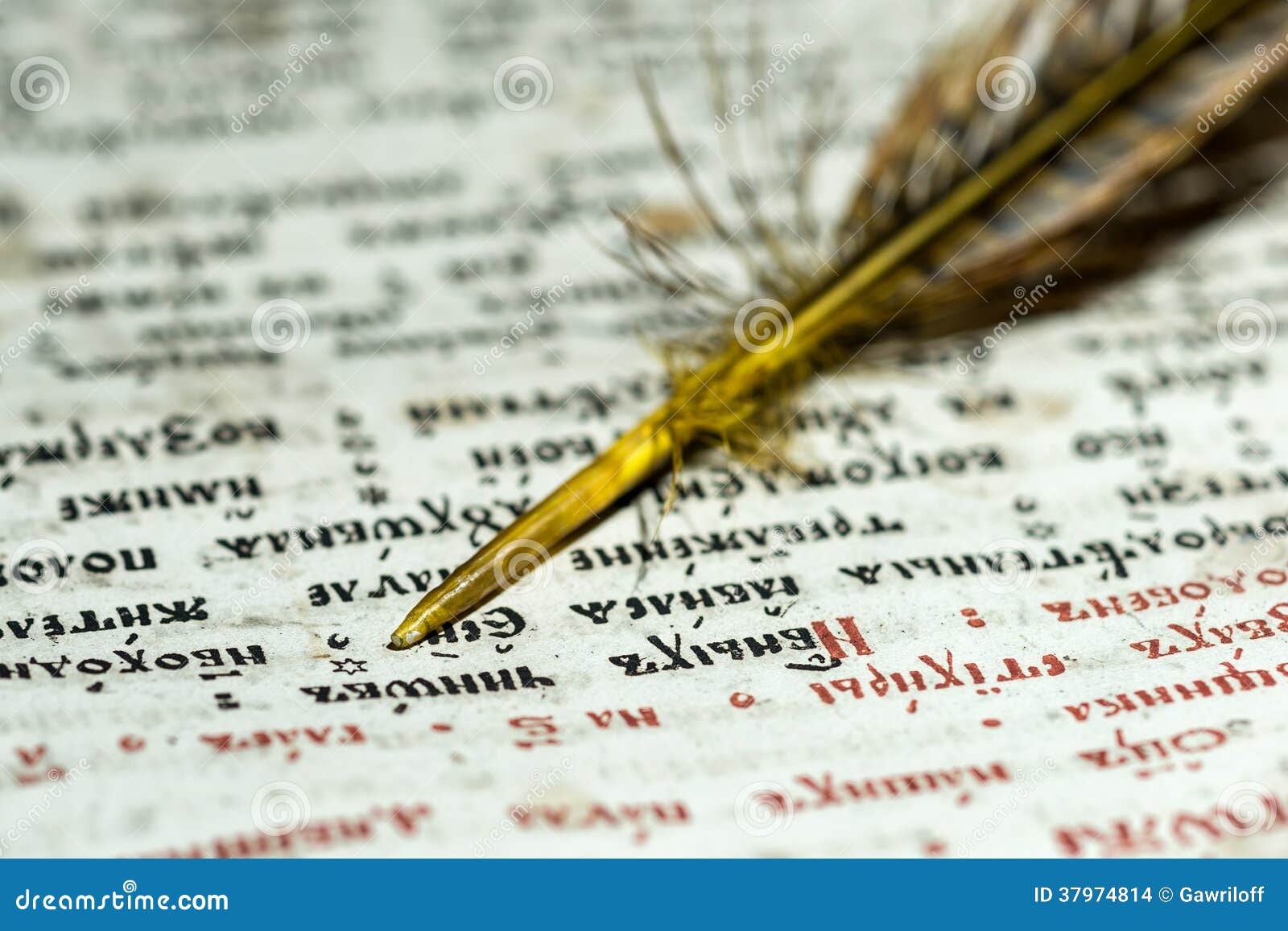 Open the Book and Quill Closeup Stock Photo - Image of party, copy ...