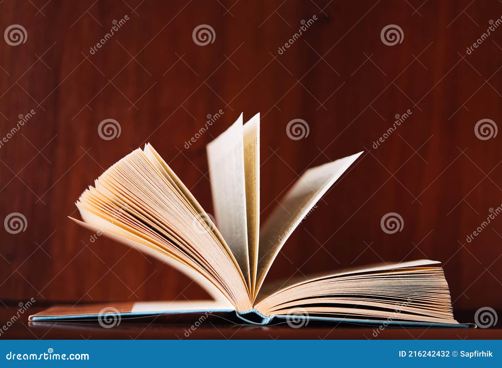 Open Book with Raised Pages. Stock Photo - Image of page, learn: 216242432