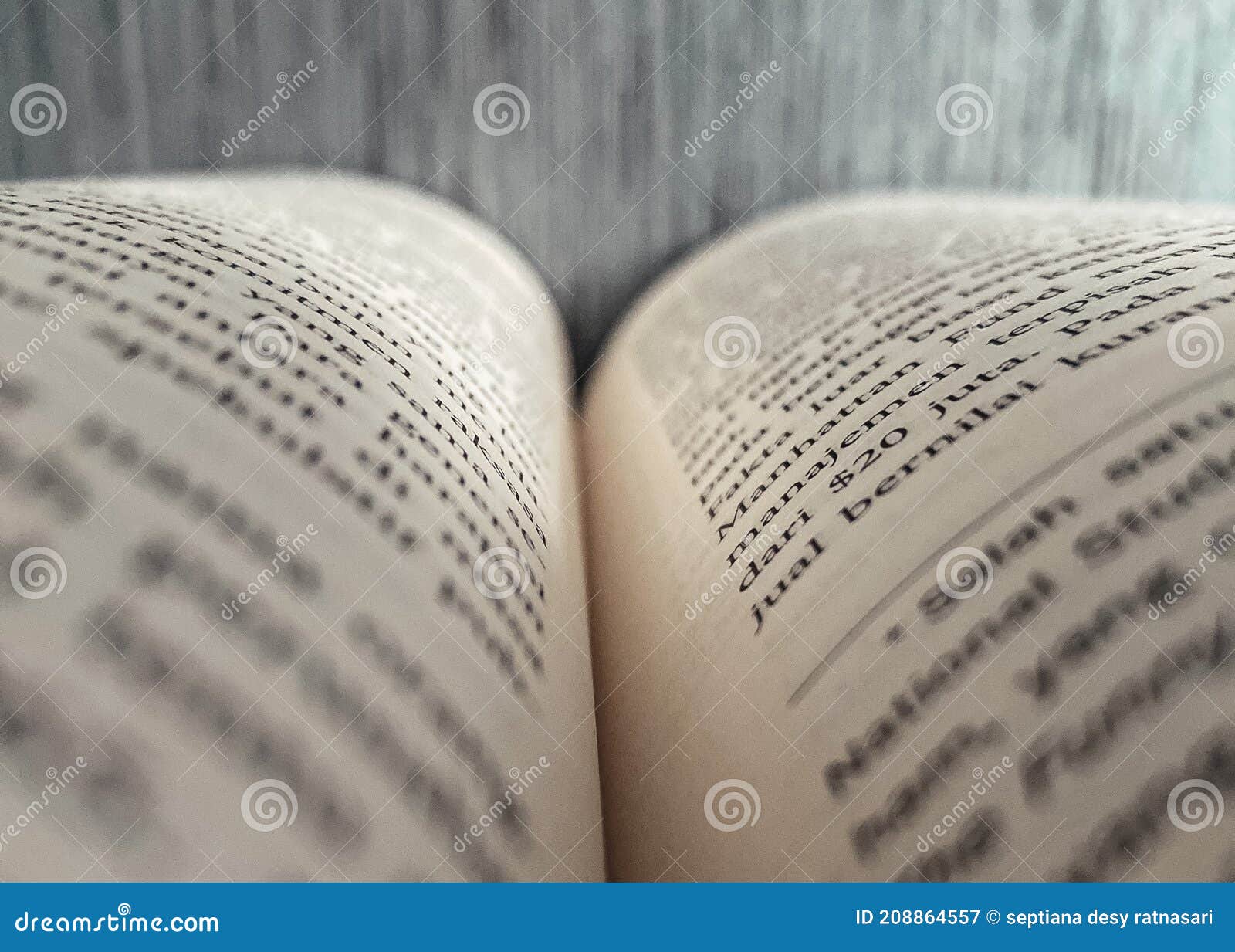 Open book stock image. Image of magazine, open, text - 208864557
