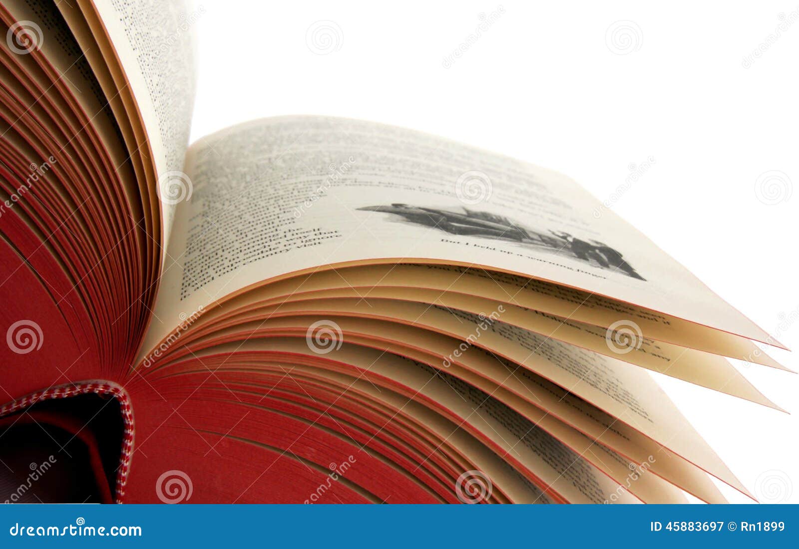 An Open Book with Red Cover from an Angle Stock Image - Image of pages ...