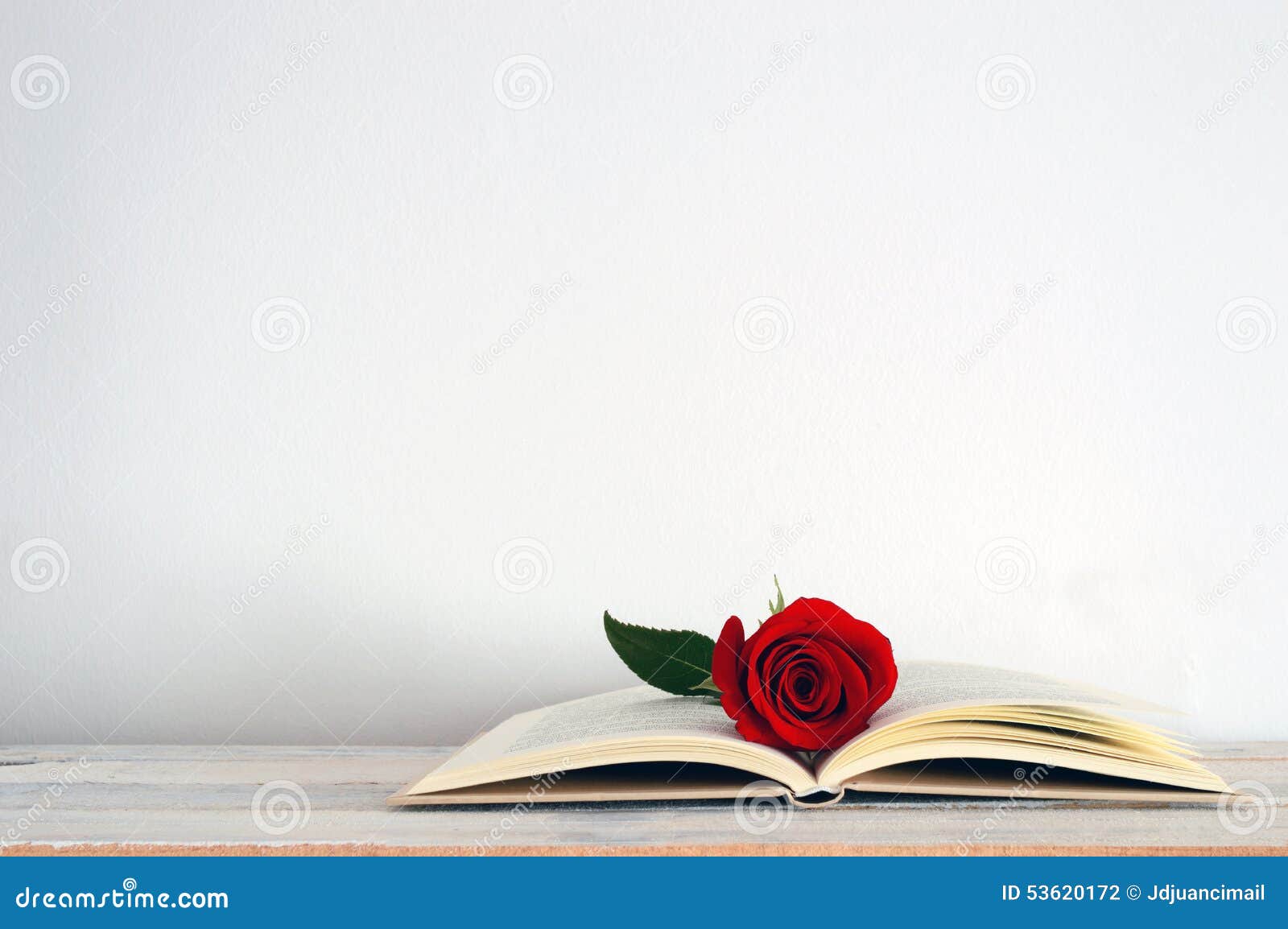 An Open Book with a Red Rose Flower on it. Stock Photo - Image of ...