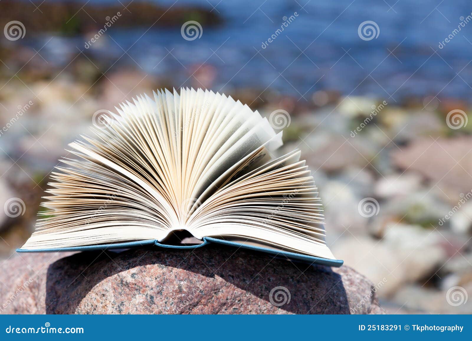 Open book on the rock stock image. Image of still, vacation - 25183291