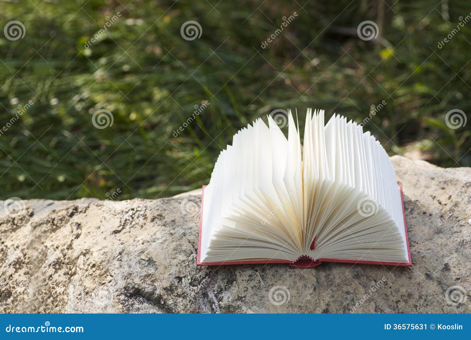 Open book stock image. Image of education, green, rock - 36575631