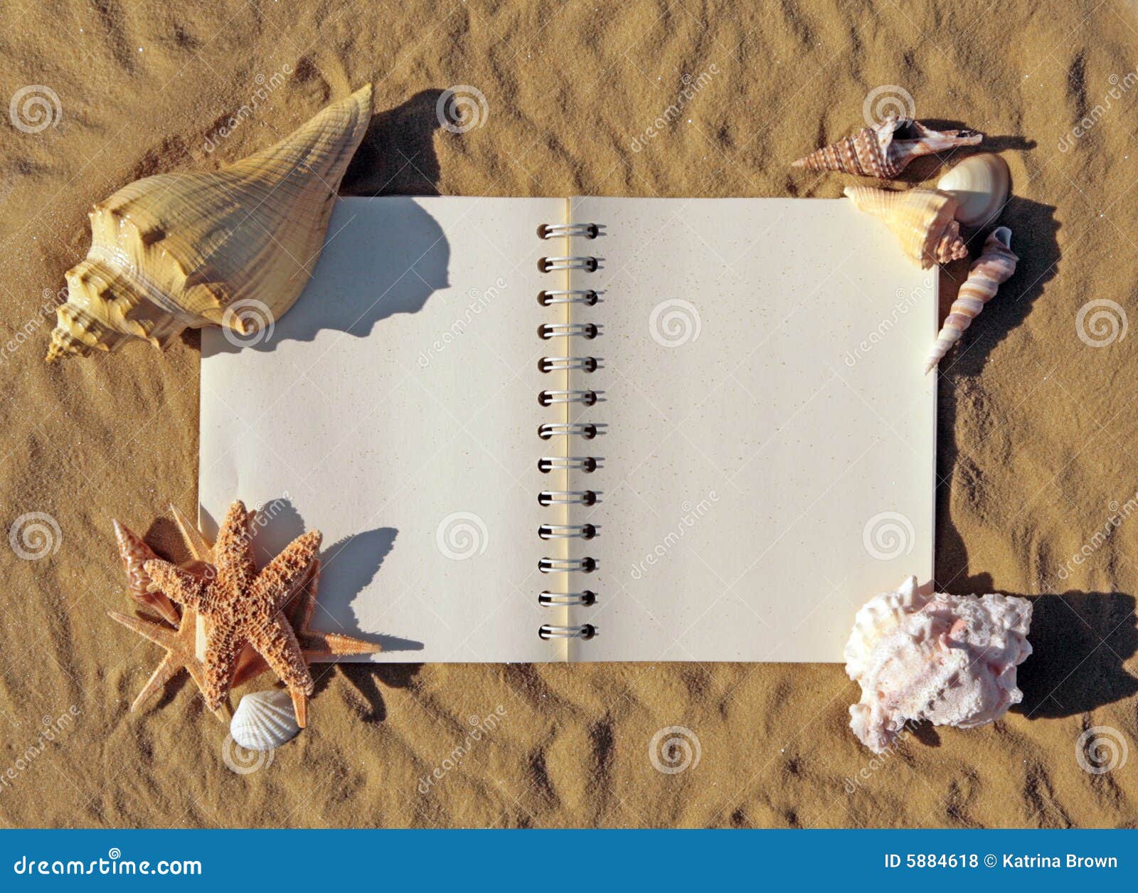 Open Book on the Sand with Seashells Adorning it Stock Photo - Image of ...
