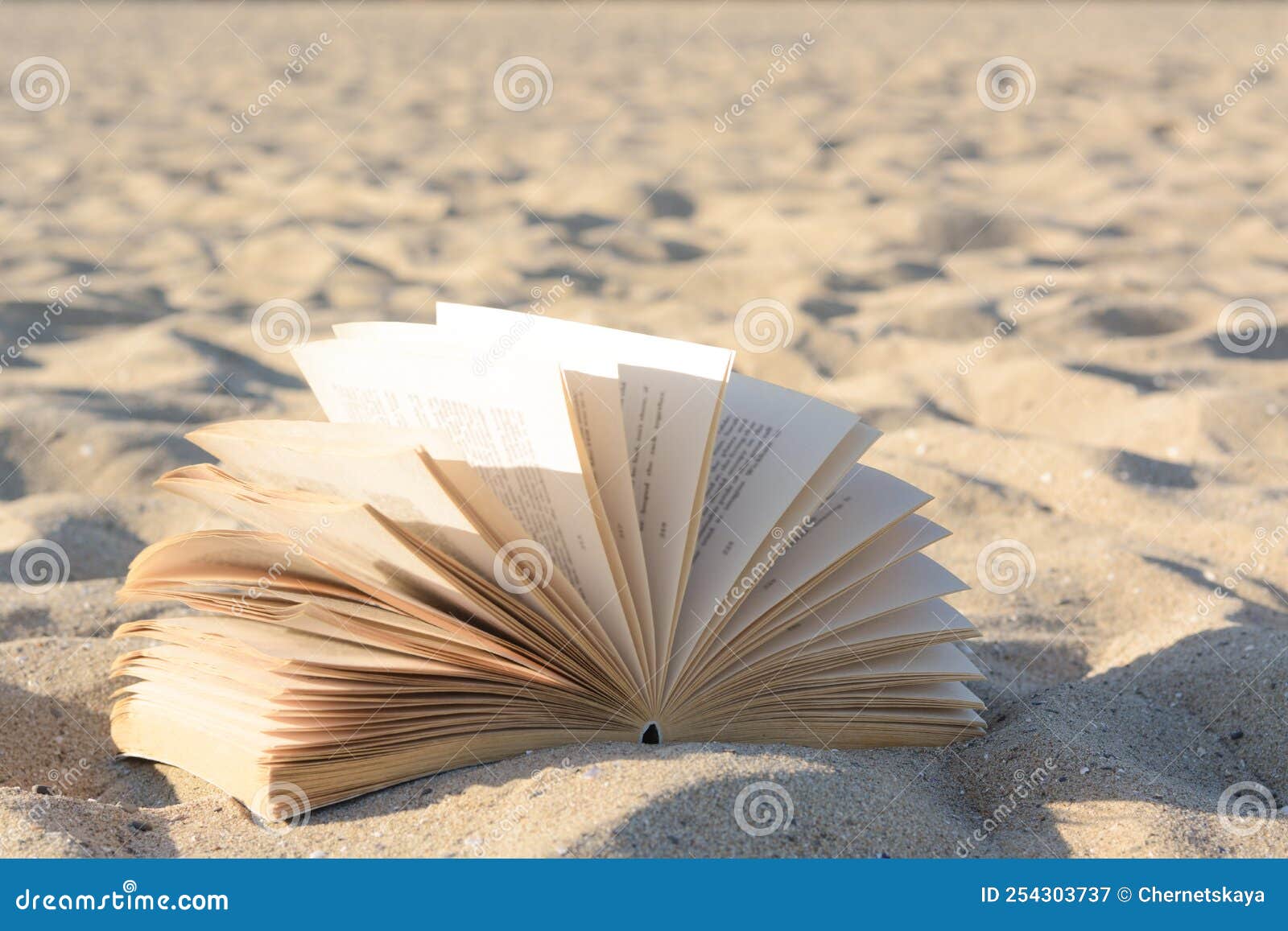 Open Book on Sandy Beach, Closeup View Stock Image - Image of read ...