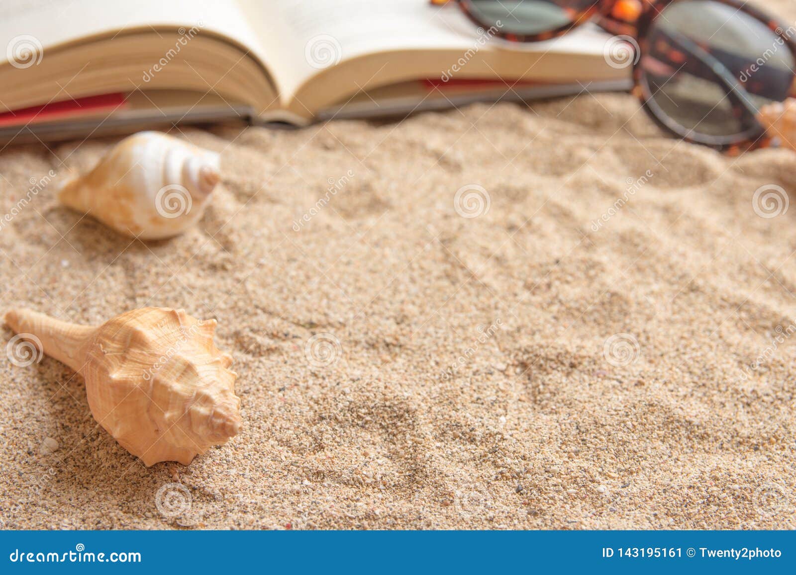 Open Book on Sandy Beach with Sea Shells and Sunglasses, Close Up ...