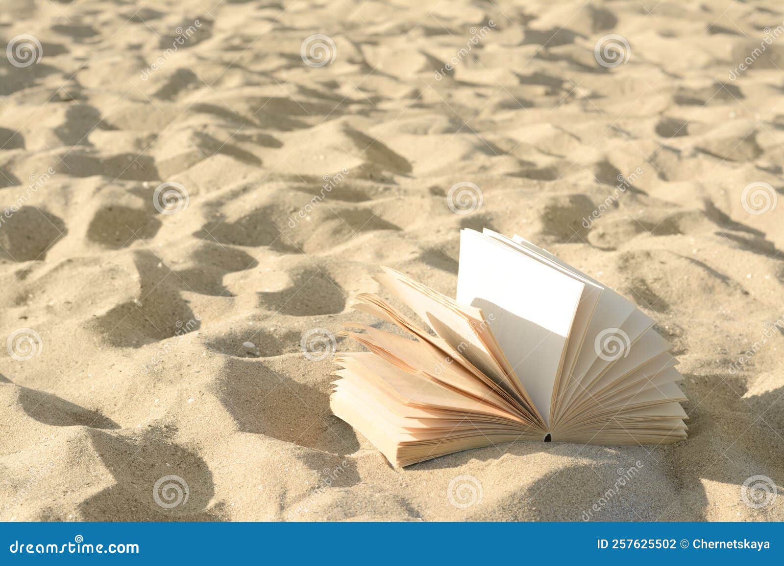 Open Book on Sandy Beach. Space for Text Stock Photo - Image of nature ...