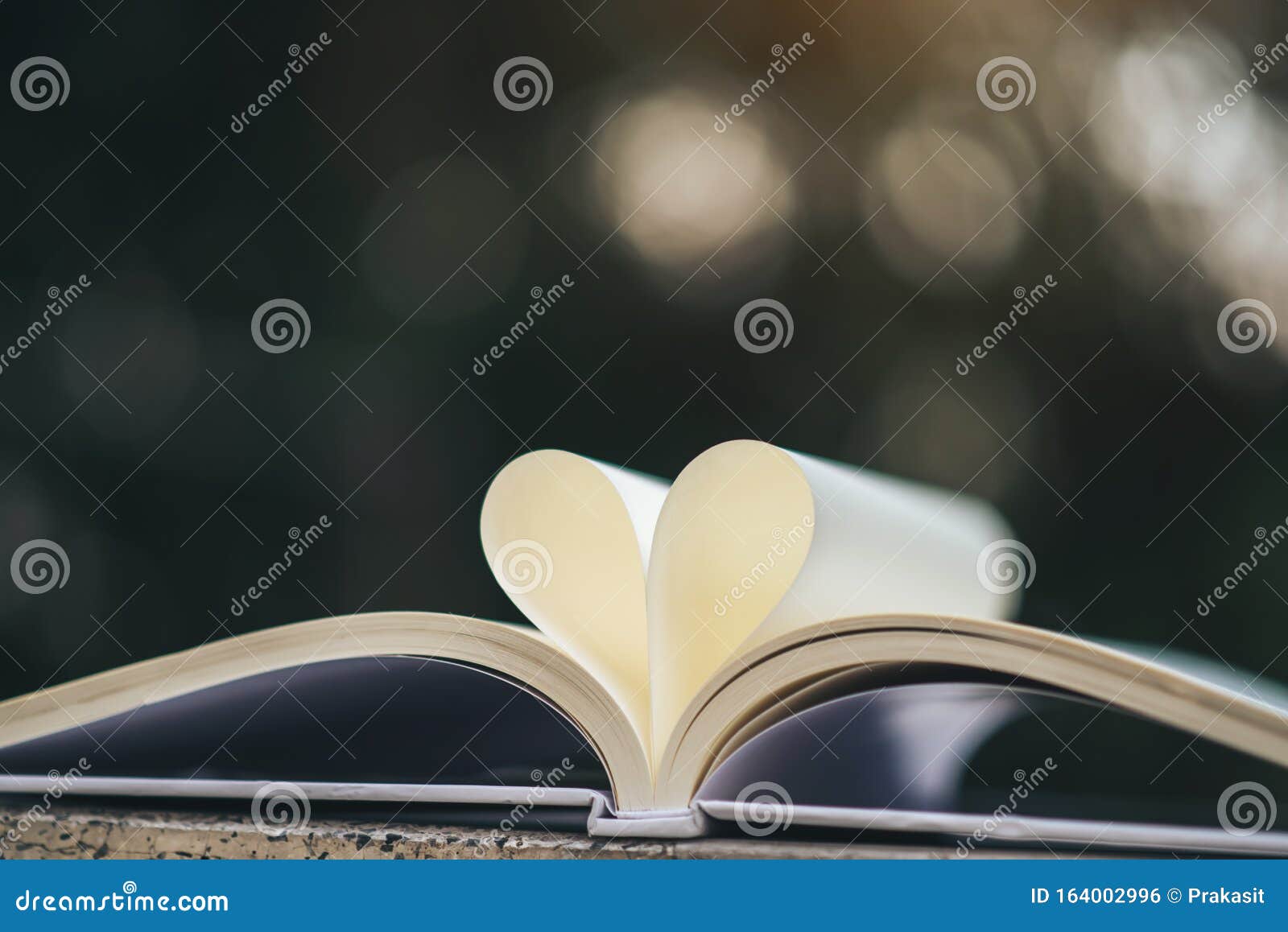 Open Book Shape Stock Photos - Download 4,477 Royalty Free Photos