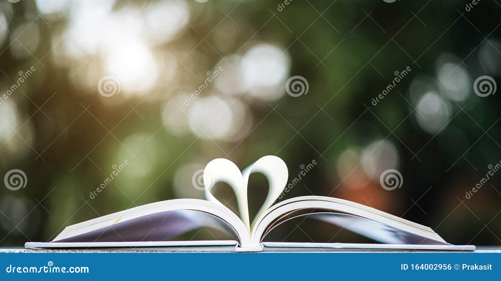 Open book shape heart stock photo. Image of valentine - 164002956