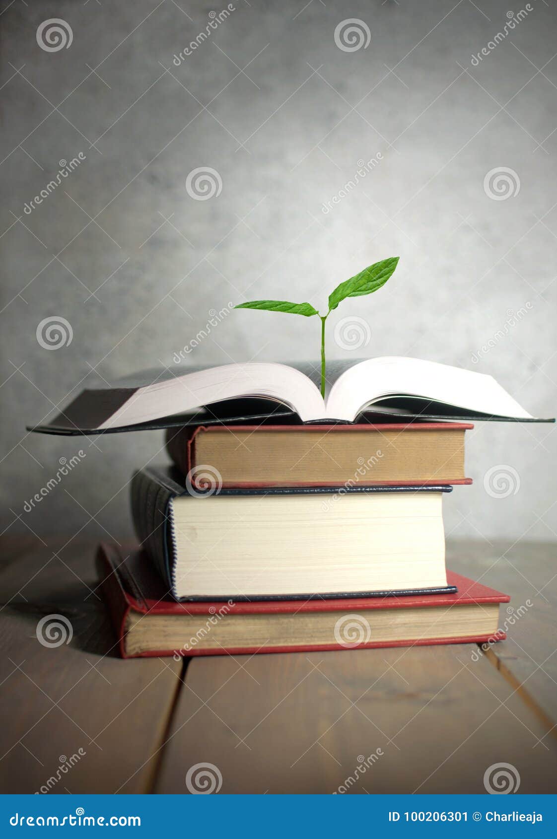 Open Book with New Seedling Stock Image - Image of study, prosper ...