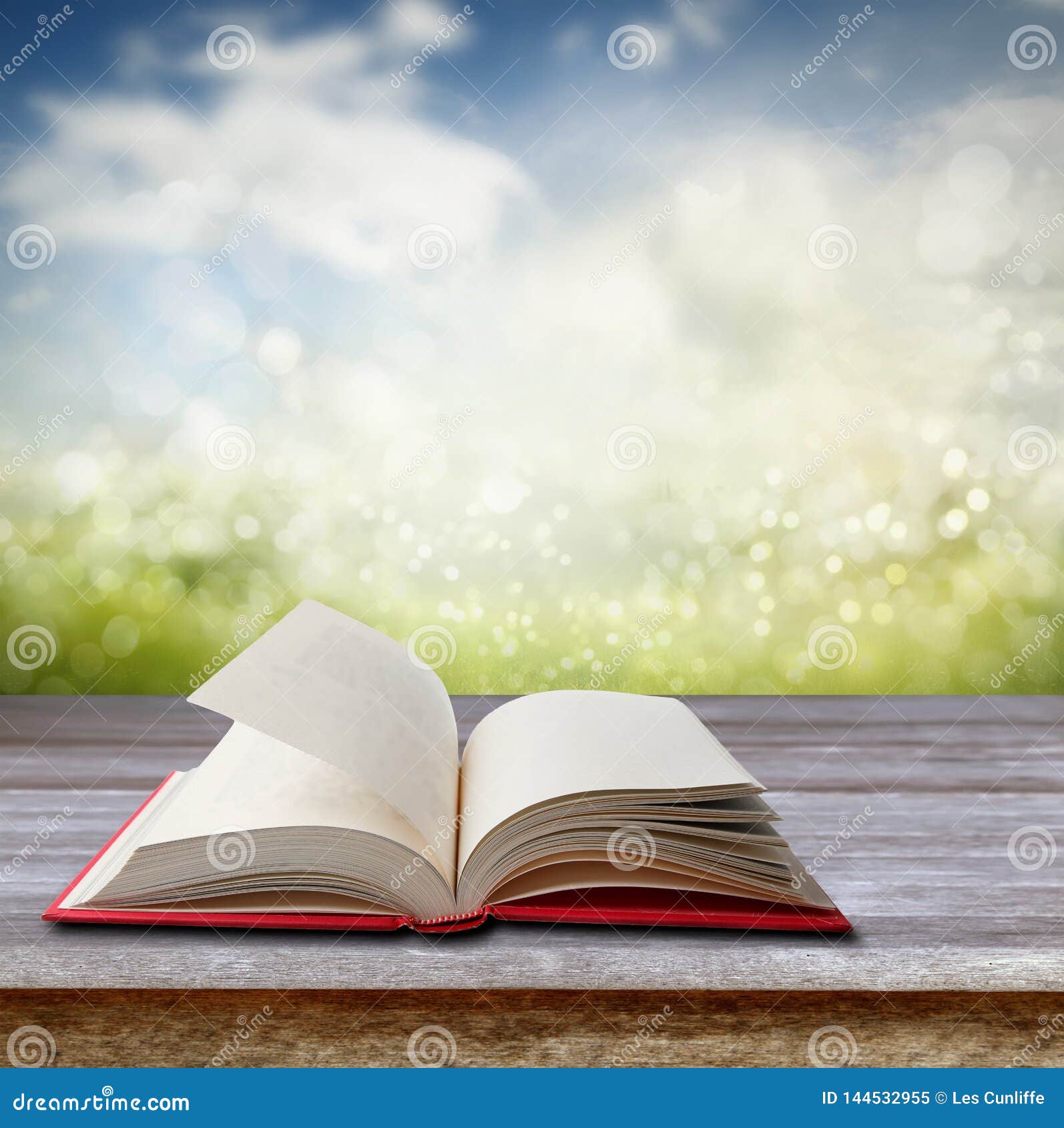 Open book in spring stock image. Image of closeup, open - 144532955