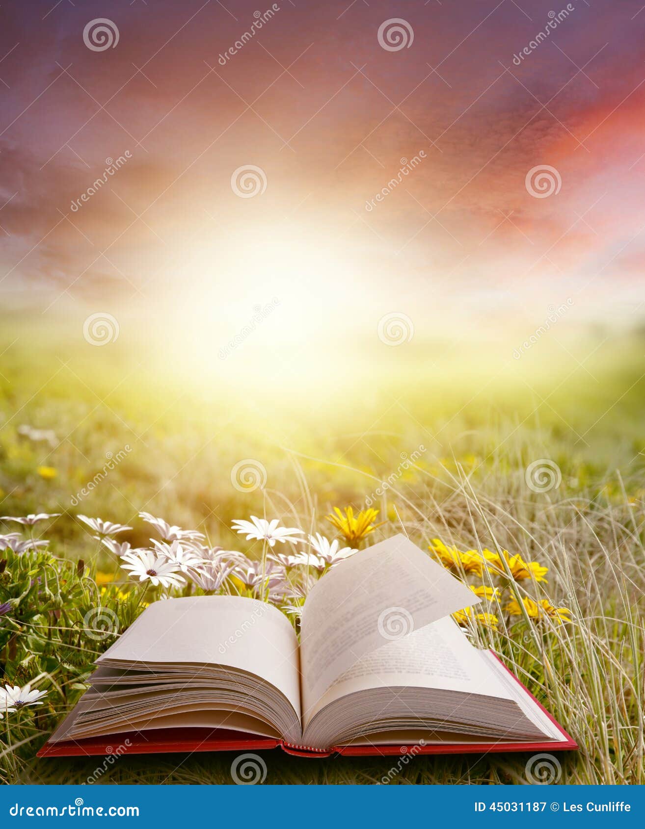 Open book stock image. Image of grass, outdoor, novel - 45031187