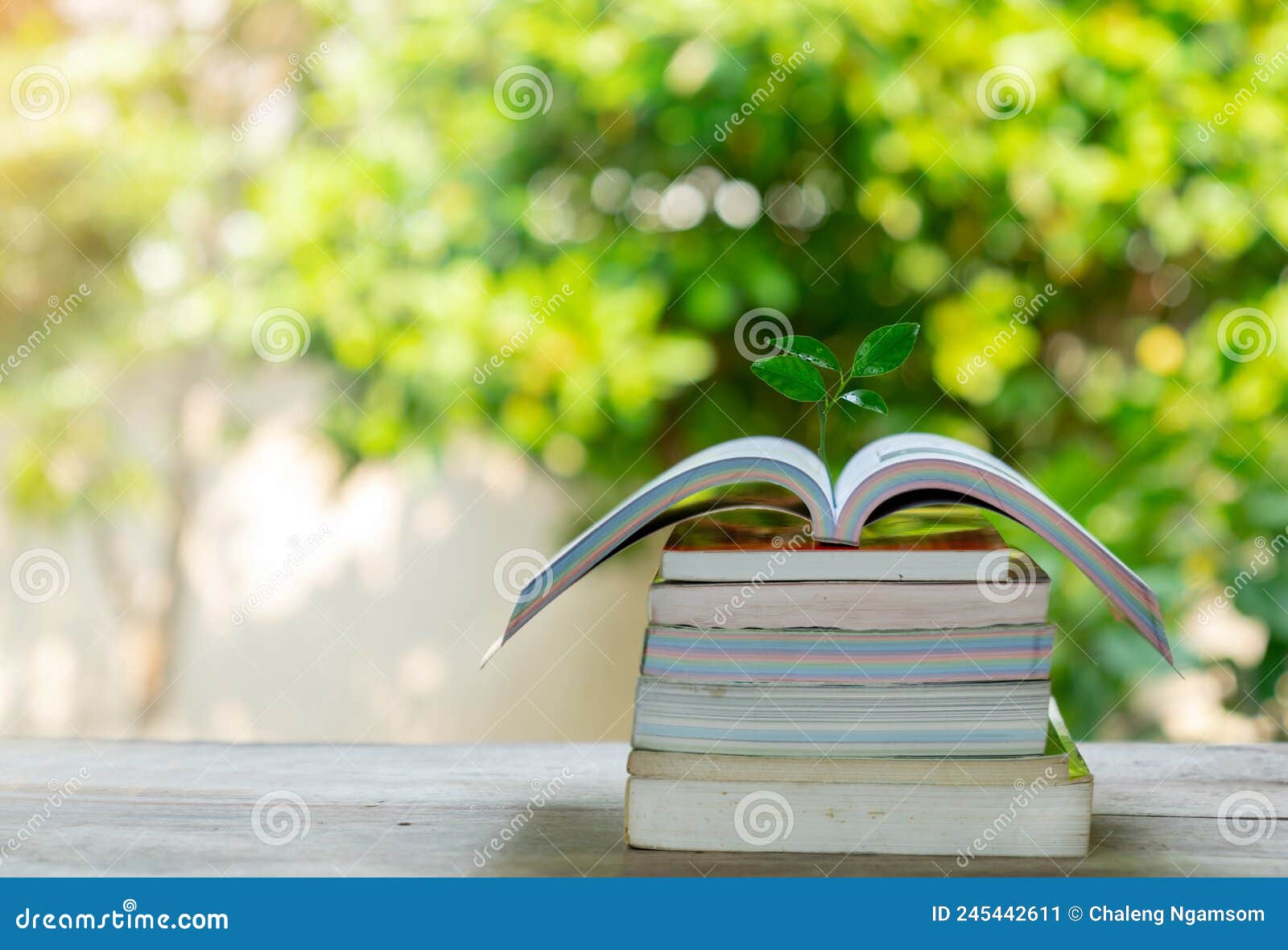 The Open Book on Stack with Plant Growth Stock Image - Image of ...