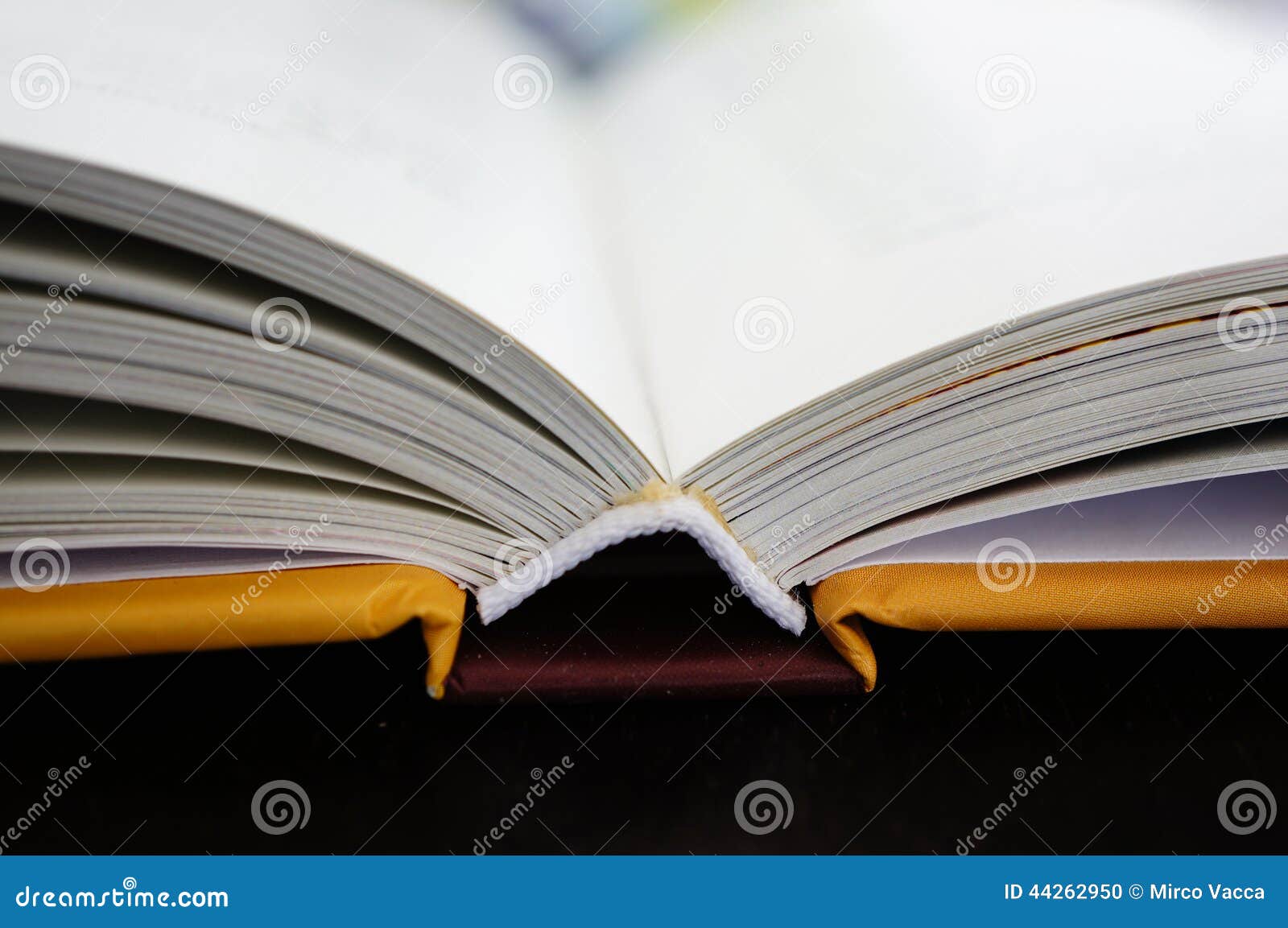 Open book stock photo. Image of printed, study, material - 44262950