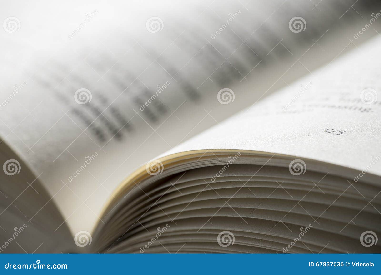 Open Book with Swallow Depth of Field Stock Photo - Image of culture ...