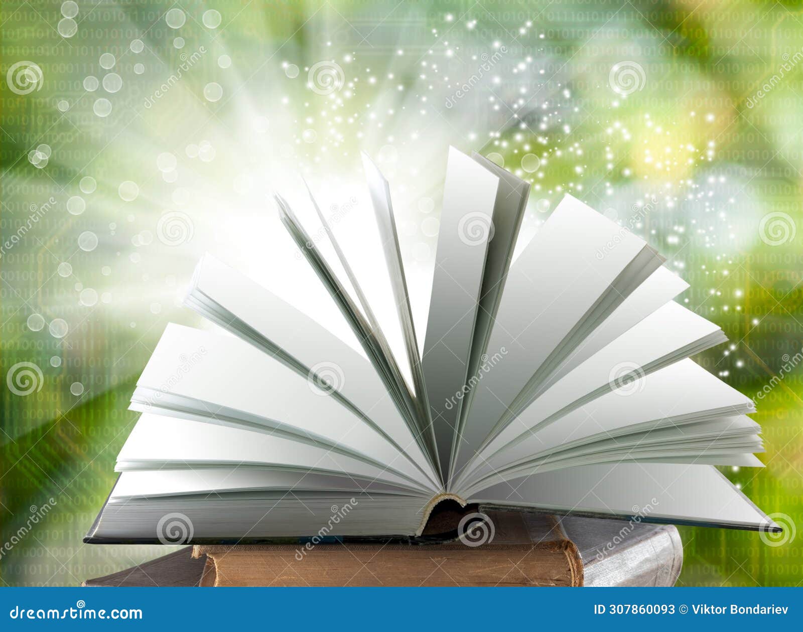 An Open Book Symbolizing the Source of Knowledge. a Book Lying on a ...