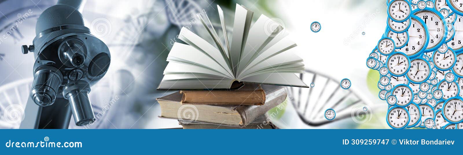 An Open Book Symbolizing the Source of Knowledge. a Book Lying on a ...