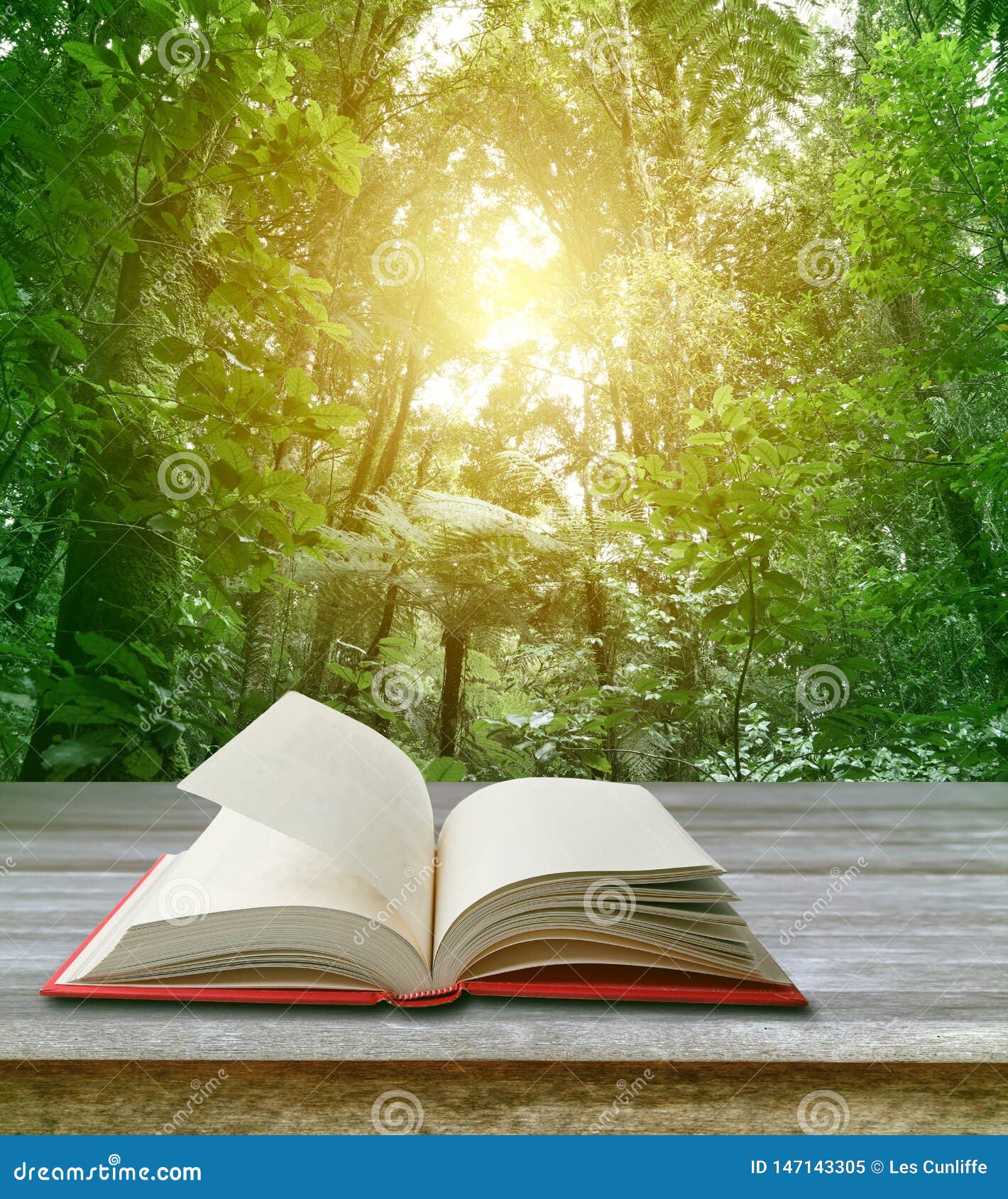 Open book and forest stock image. Image of closeup, countryside - 147143305