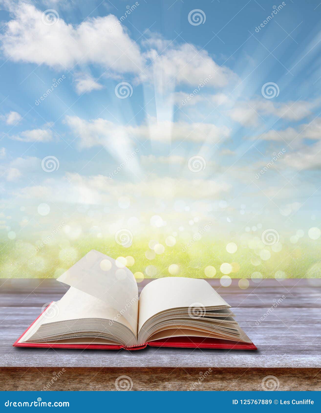 Open book on table stock image. Image of magical, countryside - 125767889