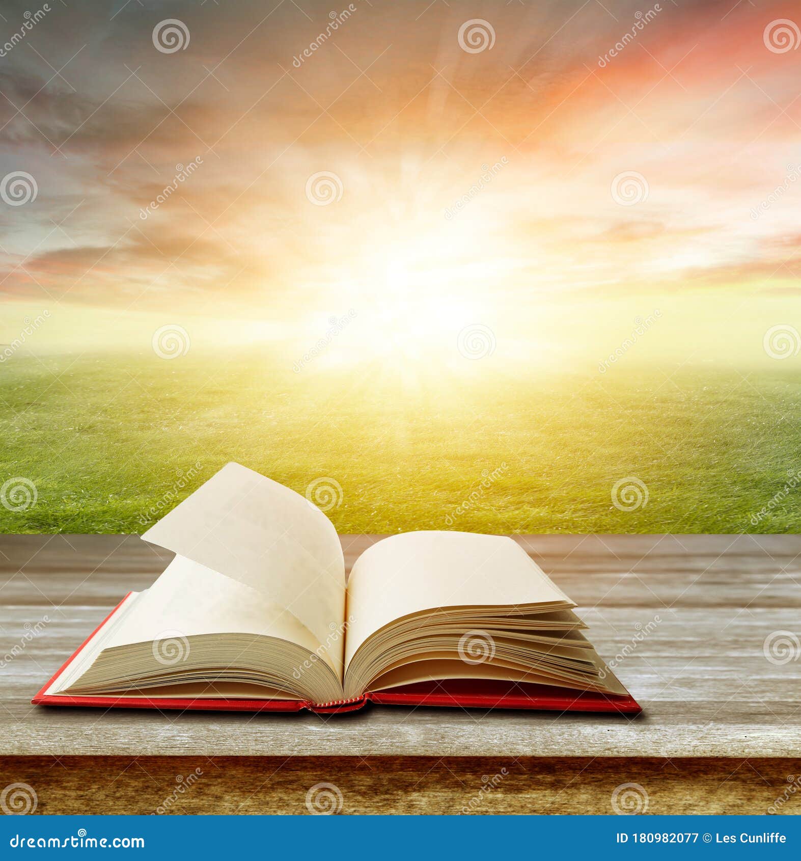 Open book on table stock image. Image of dramatic, grass - 180982077