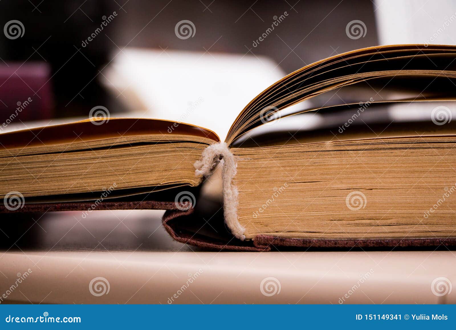 Open book on the table stock image. Image of girl, cute - 151149341