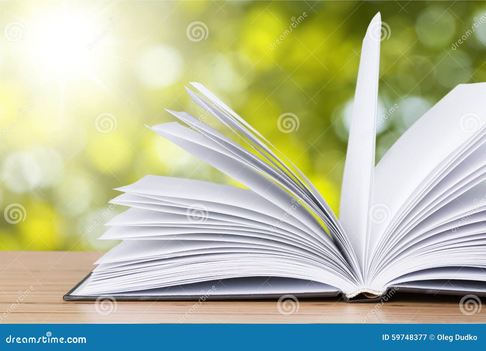 Open Book stock image. Image of green, single, horizontal - 59748377