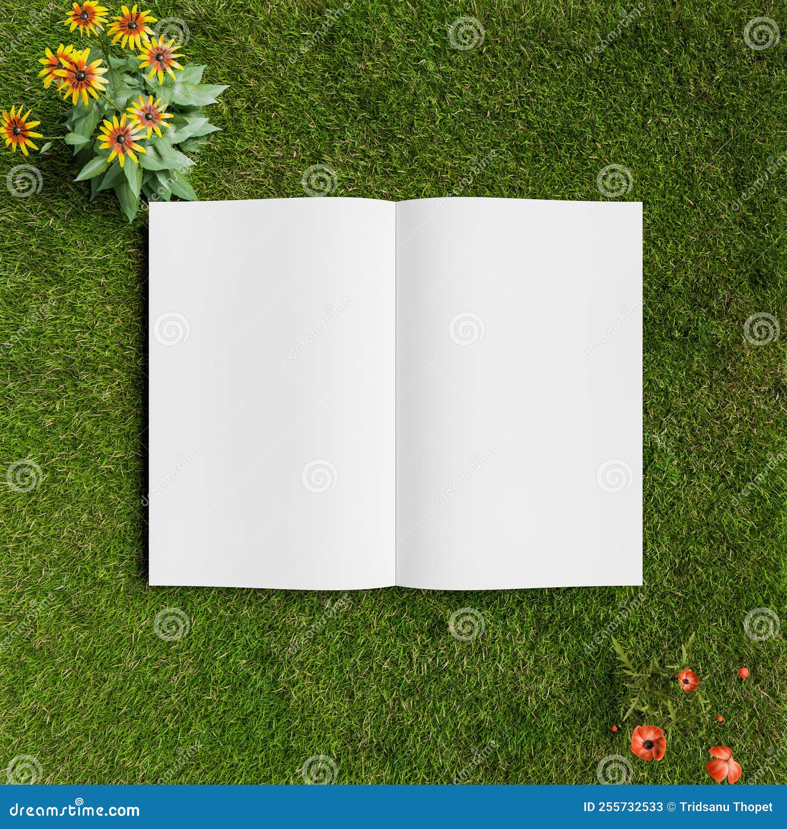 Open Book on Top View Grass Field, White Book Mock Up Design Stock ...