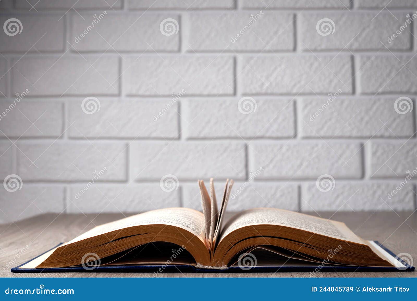 An Open Book with Torn Pages on a Table Against a Wall of White ...