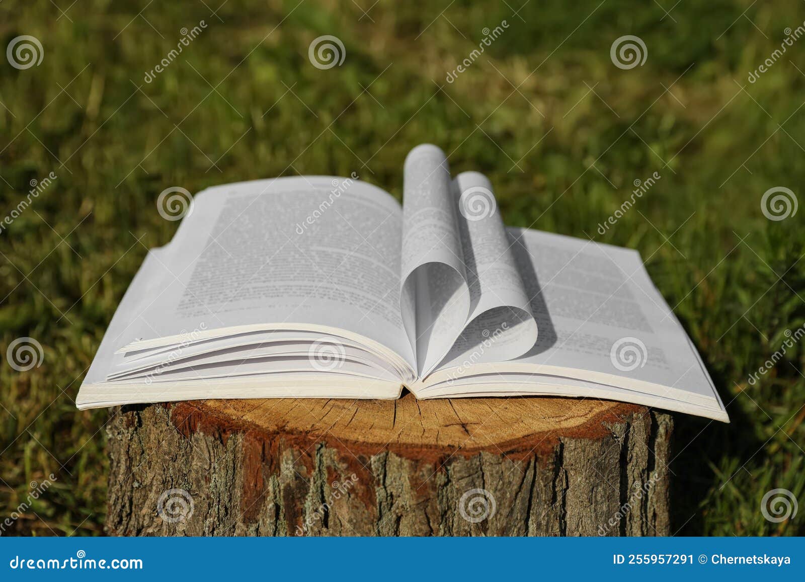 Open Book on Tree Stump in Countryside Stock Image - Image of outside ...