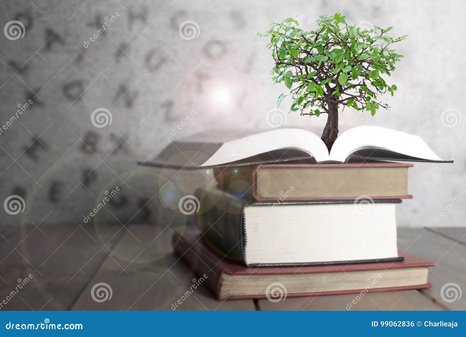 Open book with tree stock photo. Image of grow, back - 99062836