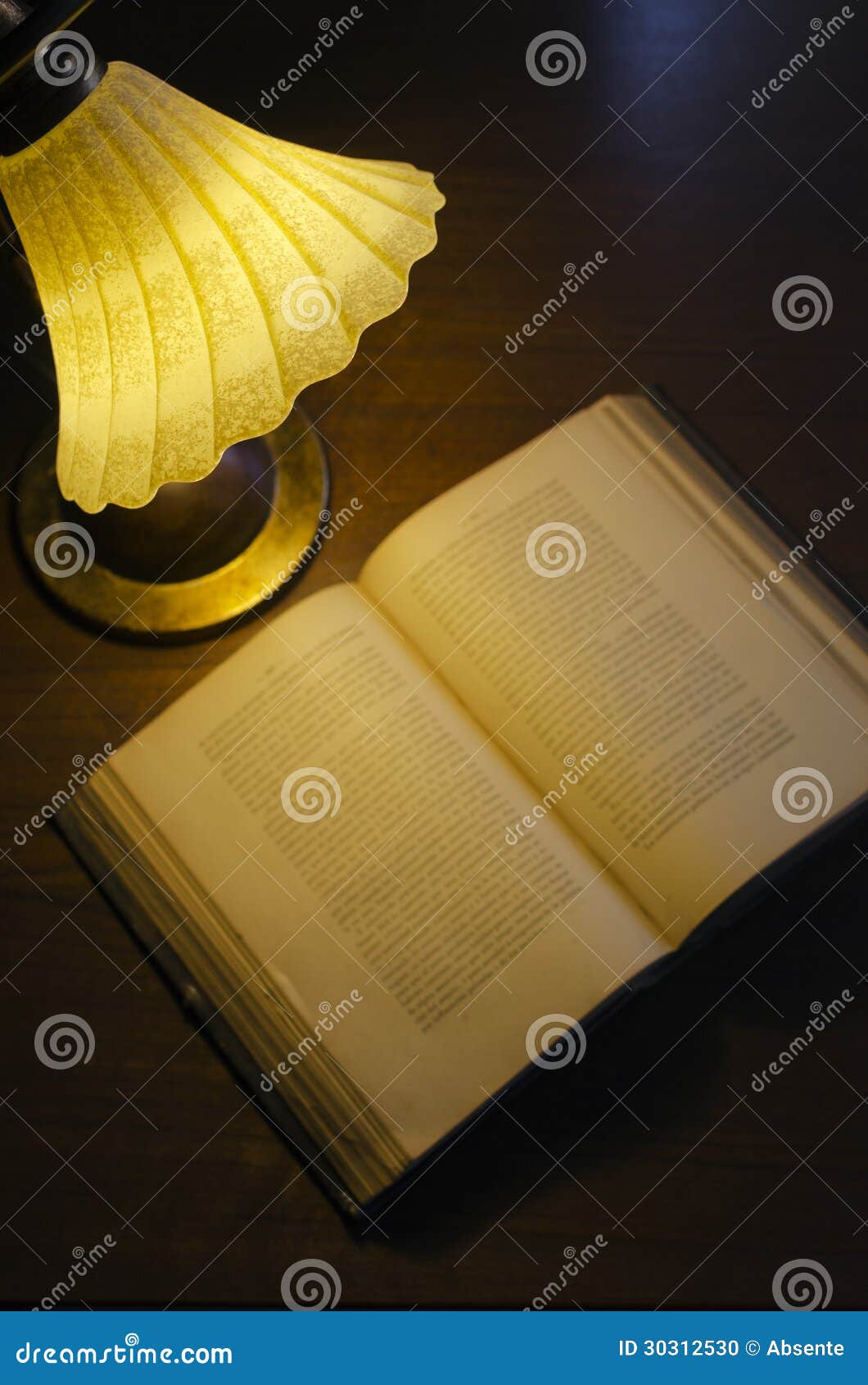 Reading stock photo. Image of light, reading, wood, literature - 30312530