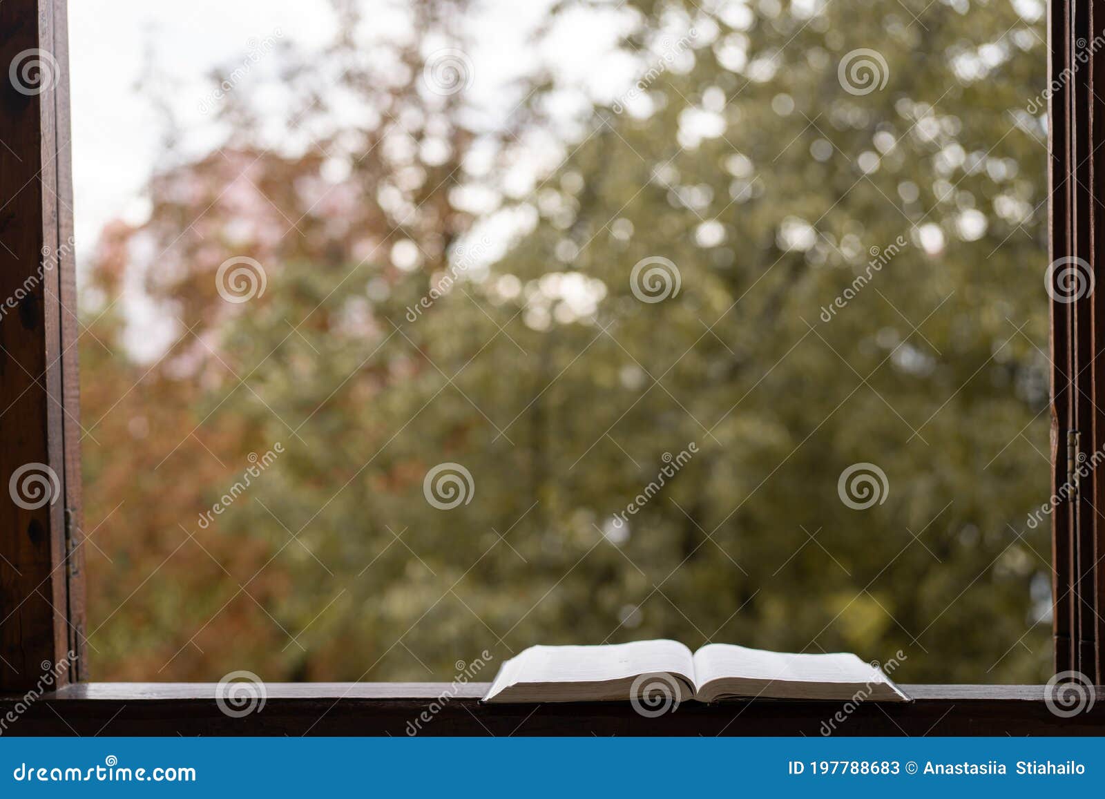 Open Book on a Vintage Windowsill. Read Stock Image - Image of rustic ...