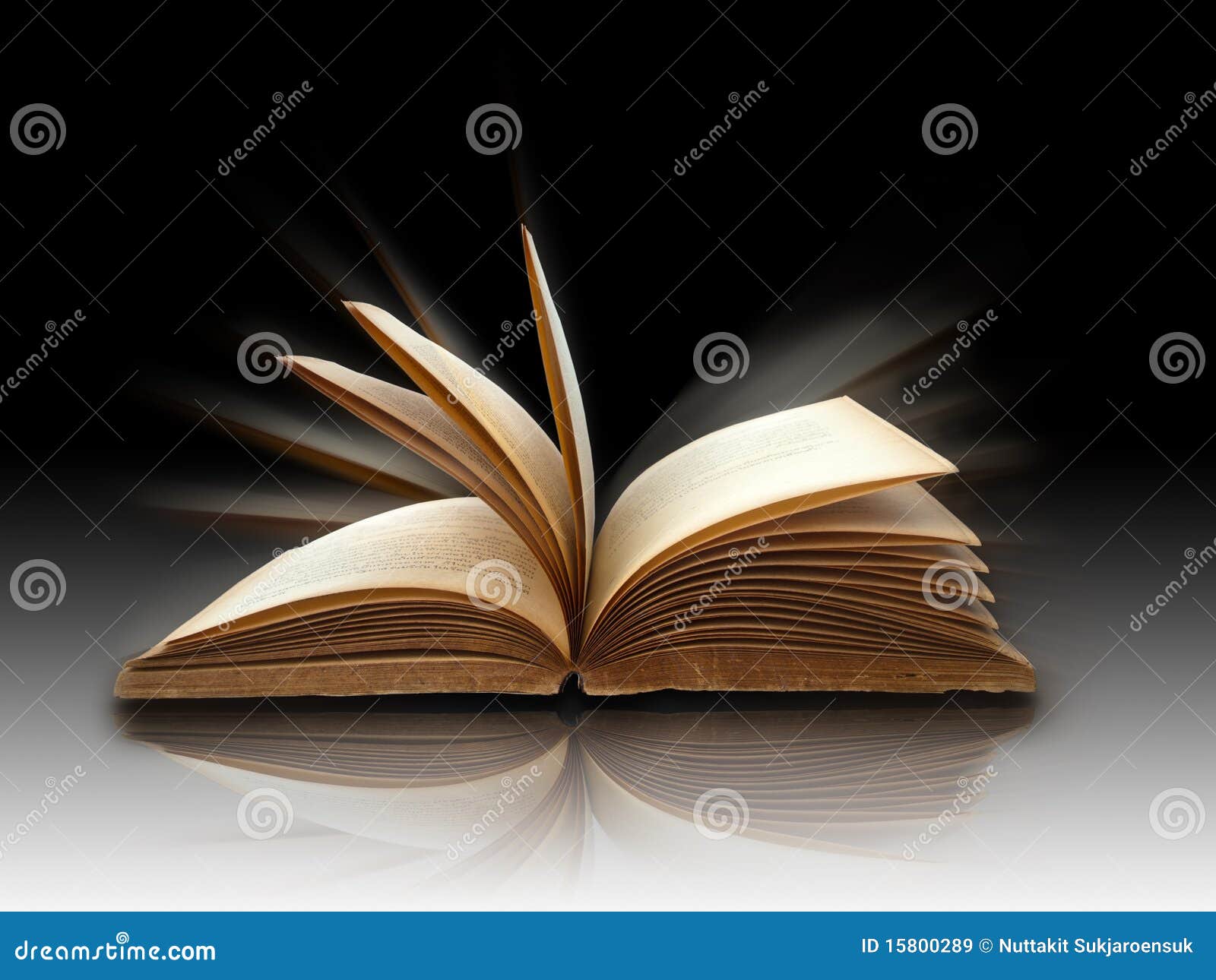 Open book on white stock image. Image of textbook, library - 15800289