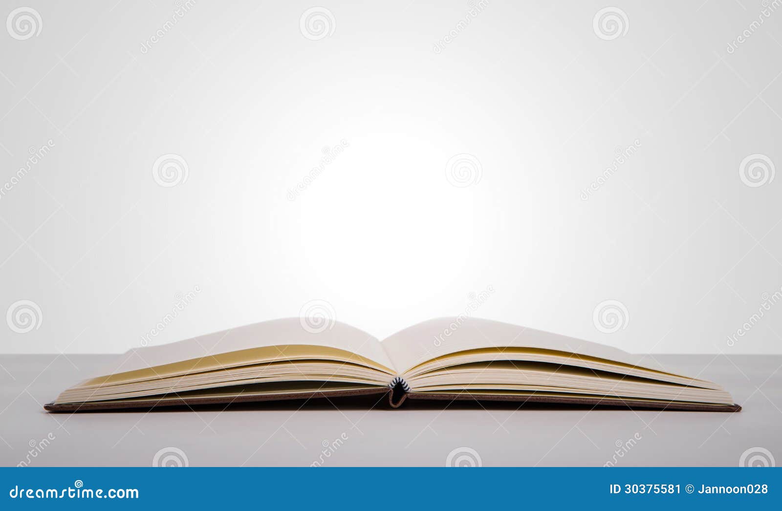 Open book stock image. Image of data, blue, album, literature - 30375581