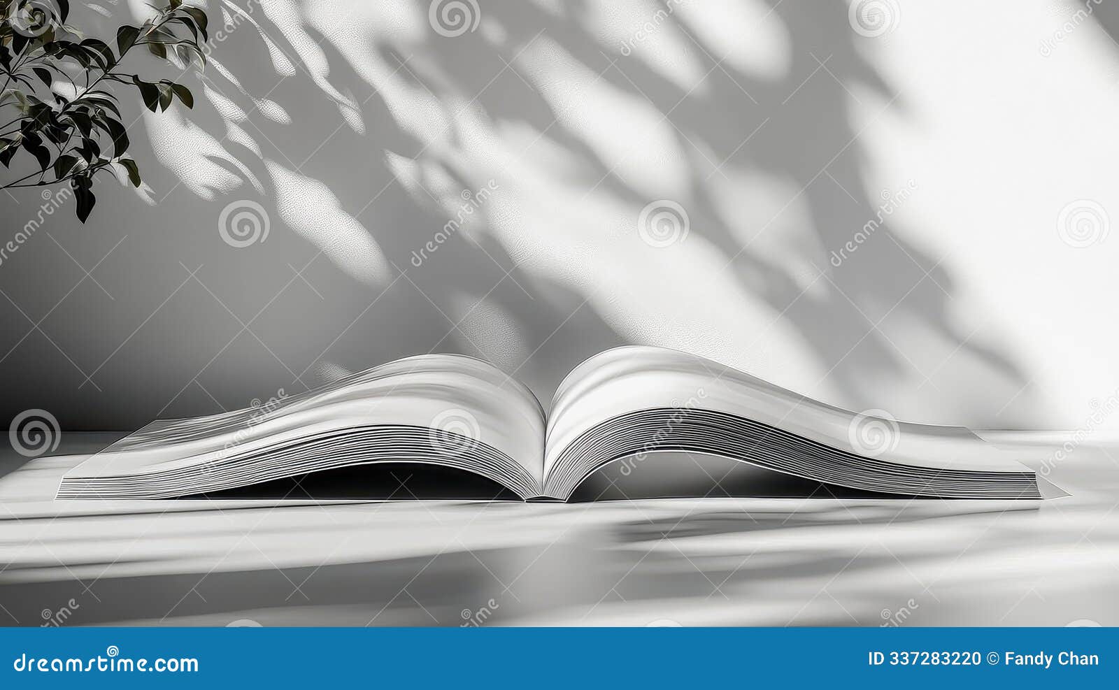 Open Book on a White Surface with Plant Shadows Stock Illustration ...