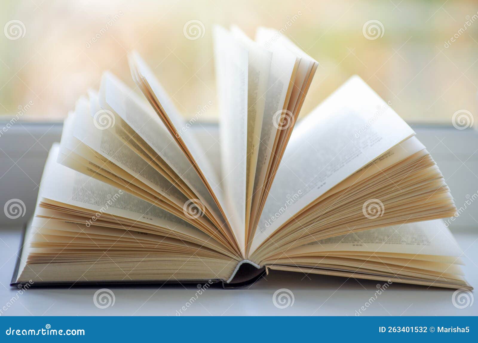 Open book on a window sill stock photo. Image of hobby - 263401532
