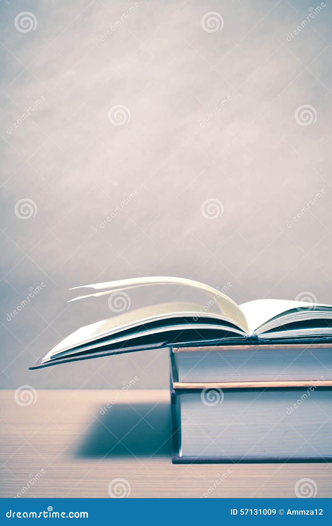 Open book stock image. Image of diary, library, college - 57131009