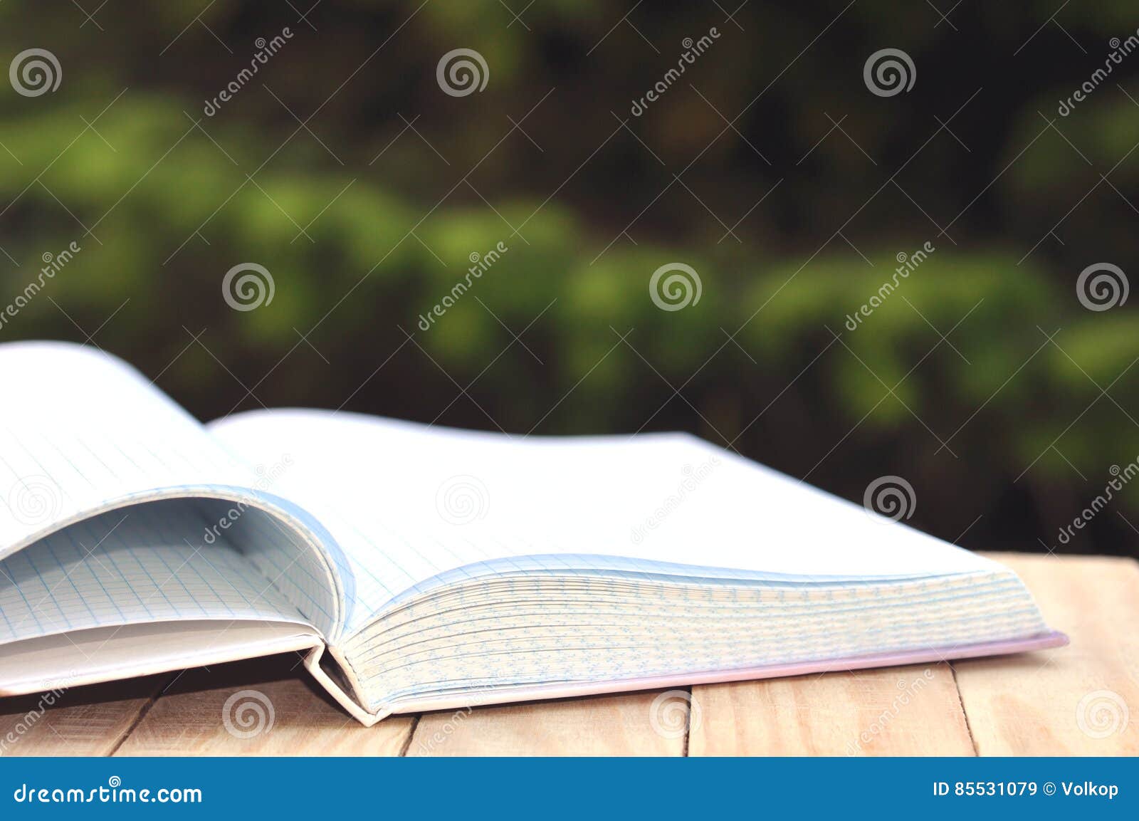 Open Book on Wood Table in the Garden Stock Image - Image of macro ...